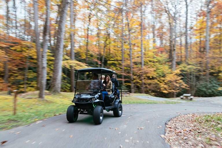 Safety Tips for Driving a Golf Cart - GOLFCARTS.COM